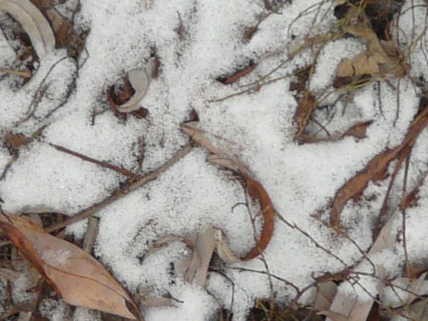 frozen ground texture 0014 - Texturelib